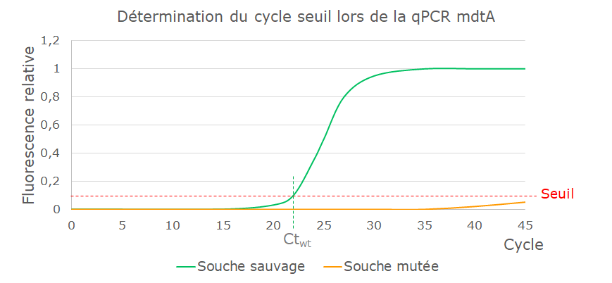 Sujet de Biologie Moléculaire et Génie Génétique (septembre 2020)